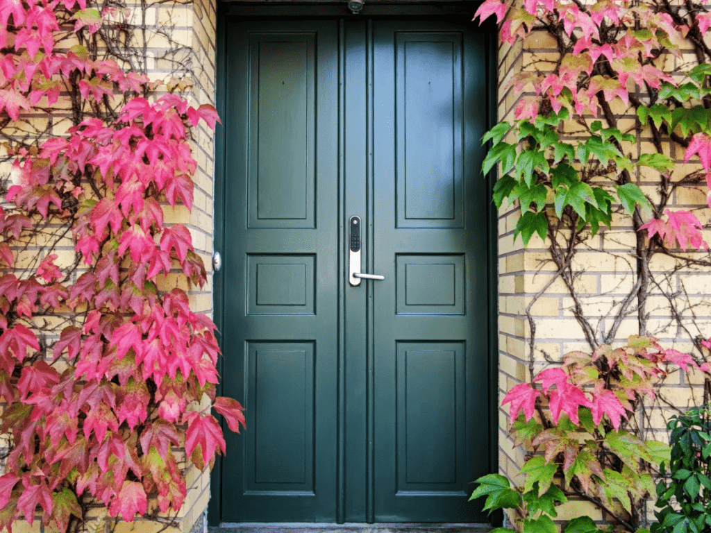 Front Door Paint Color Ideas | Colorado Painting
